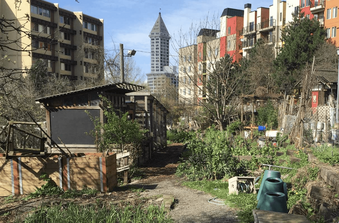 A First-Timer’s Guide to Seattle’s CID - The Ticket